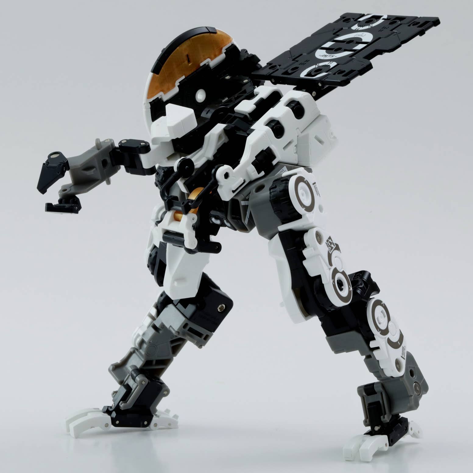 MEGABOX MB-24 ACTAEON (アクタイオーン) | HLJ.co.jp