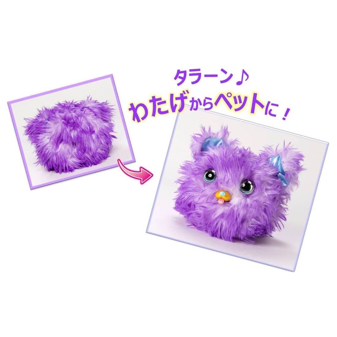 ふしぎなわたげ フワモコロン わんぽぽ | HLJ.co.jp